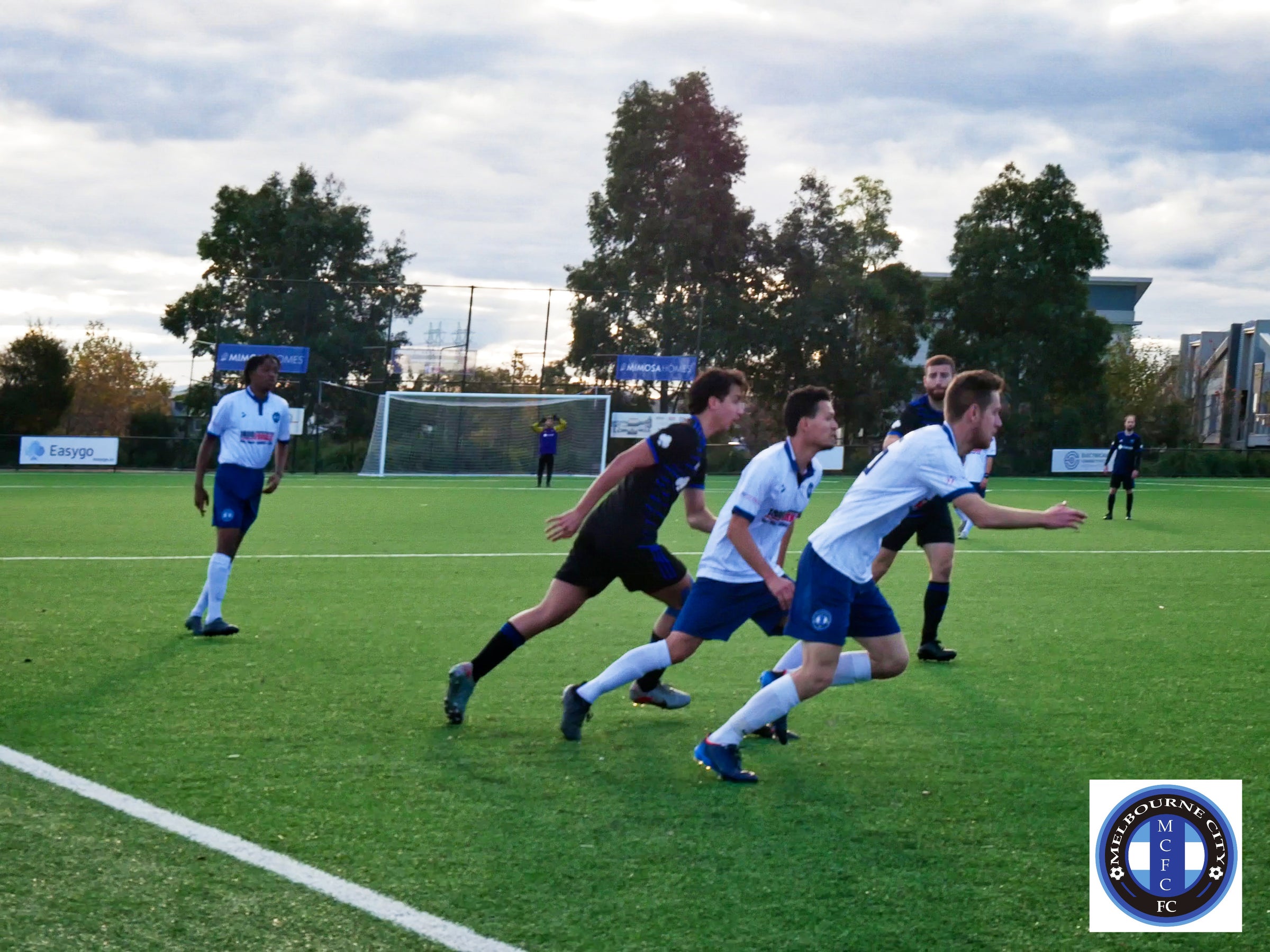 Home Seniors Miniroos and Juniors Sponsors Policies and Documents ...